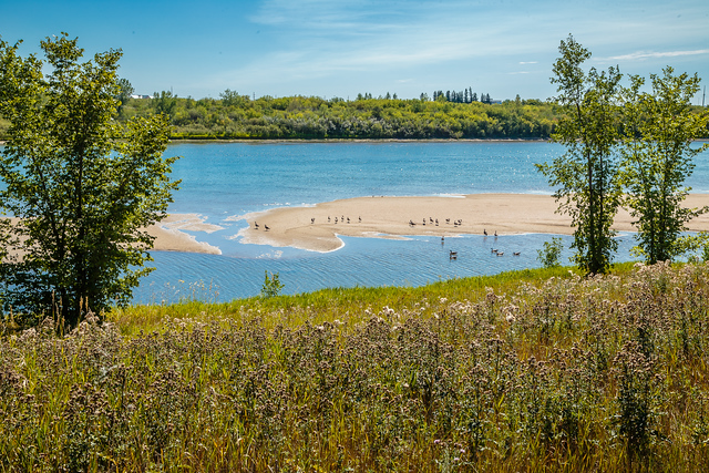 Realty Executives Saskatoon : Saskatoon Neighbourhoods